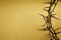 KERTAS KERJA MAPC T 6 2025 - Flip eBook Pages 1-10 | AnyFlip