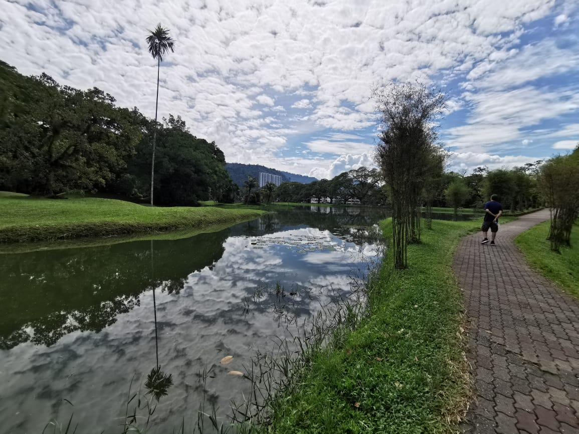 Ganoderma - No. 106 2025 蔡黛华 灵芝在乳癌治疗的临床试验及临床前研究 - Flip eBook Pages 1-10 ...
