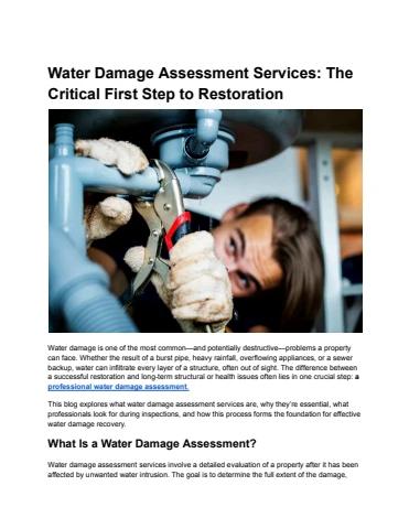 Water Damage Assessment Services