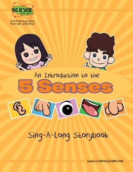 An-Introduction-to-the-5-Senses-Storybook - arunyadavyes Flip PDF | AnyFlip