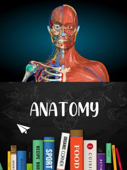 E-book Anatomy - Flip PDF | AnyFlip