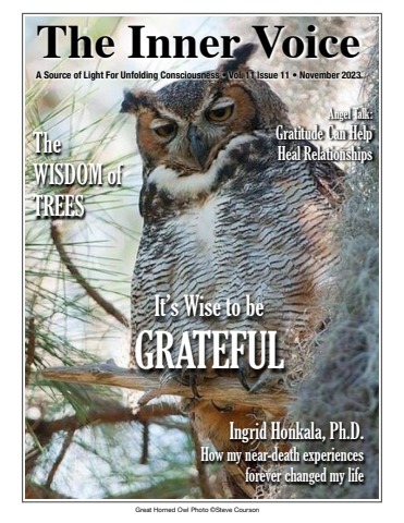 The Inner Voice Magazine - November 2023 - Steven Freier Flip PDF | AnyFlip