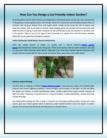 How Can You Design a Cat