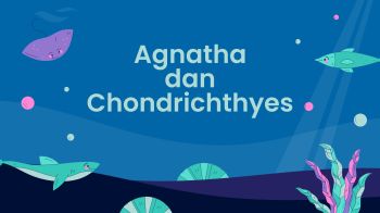 Agnatha dan Chondrichthyes - | PDF Online | AnyFlip