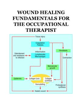 Wound healing fundamentals for occupational therapists-1 - Physical ...