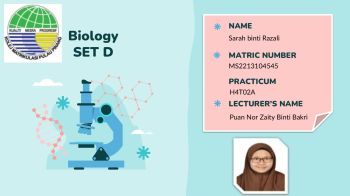 BIO FLIPBOOK - MOLECULES OF LIFE & CELL STRUCTURES AND FUNCTIONS - sarahry03 Flip PDF | AnyFlip