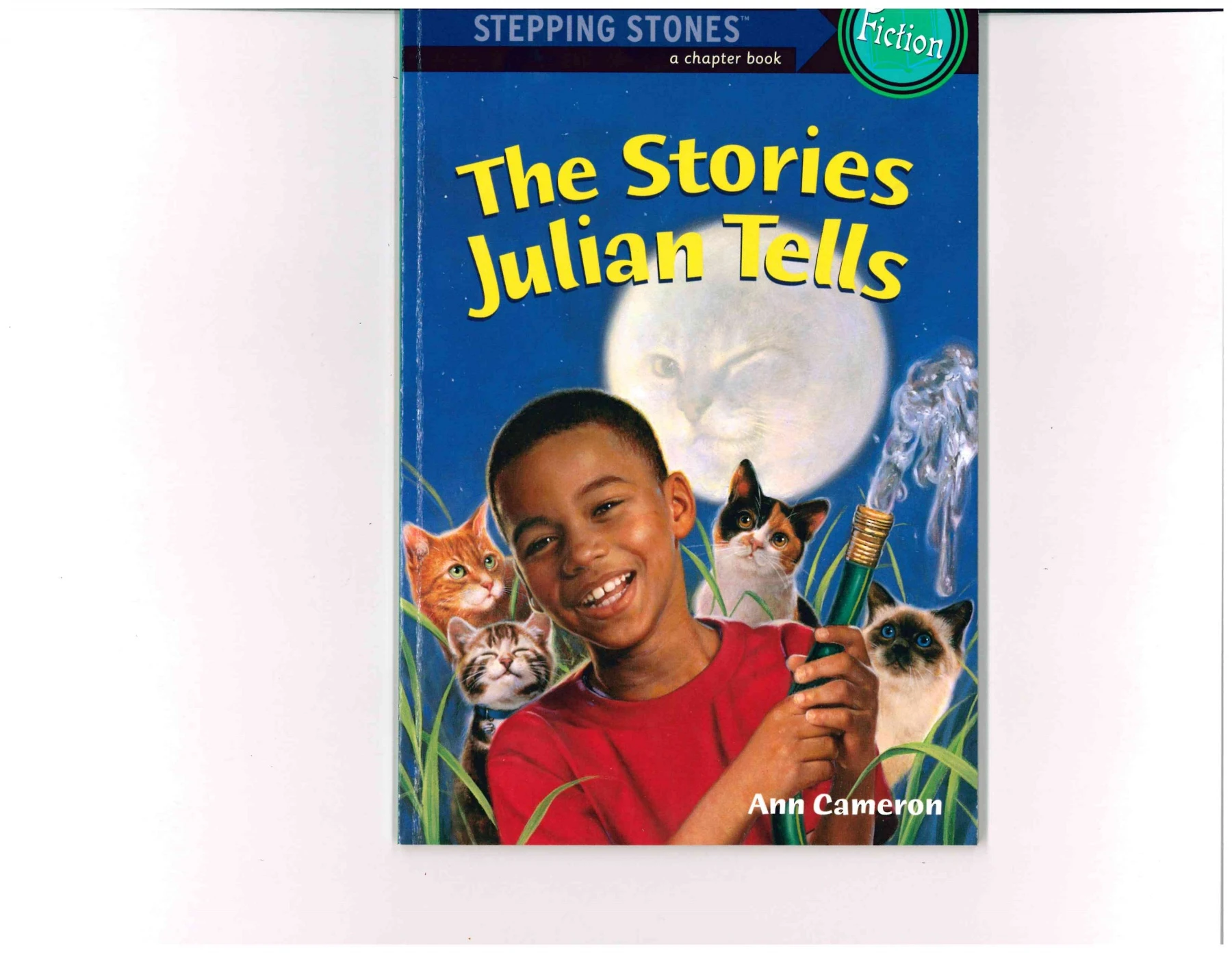 The Stories Julian Tells