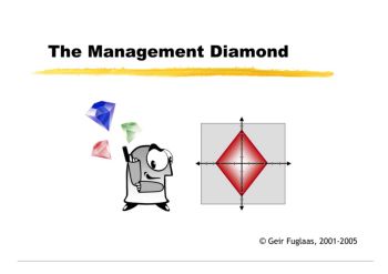 The Management Diamond - exinfm - Guset User Flip PDF | AnyFlip