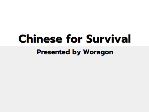 Chinese for Survival
