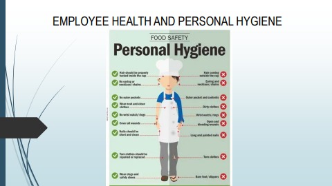 EMPLOYEE HEALTH AND PERSONAL HYGIENE 2023 - iwayansudira219 Flip PDF ...