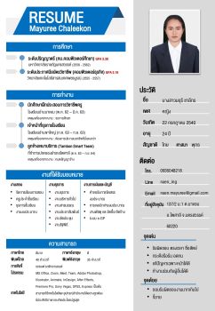 Resume_Mayuree - naen.mayuree Flip PDF | AnyFlip