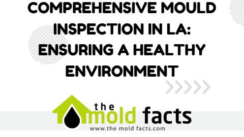 Comprehensive Mould Inspection in LA: Ensuring a Healthy Environment ...