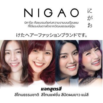 สูตรทำสี NIGAO - Nigao-Brand Flip PDF | AnyFlip