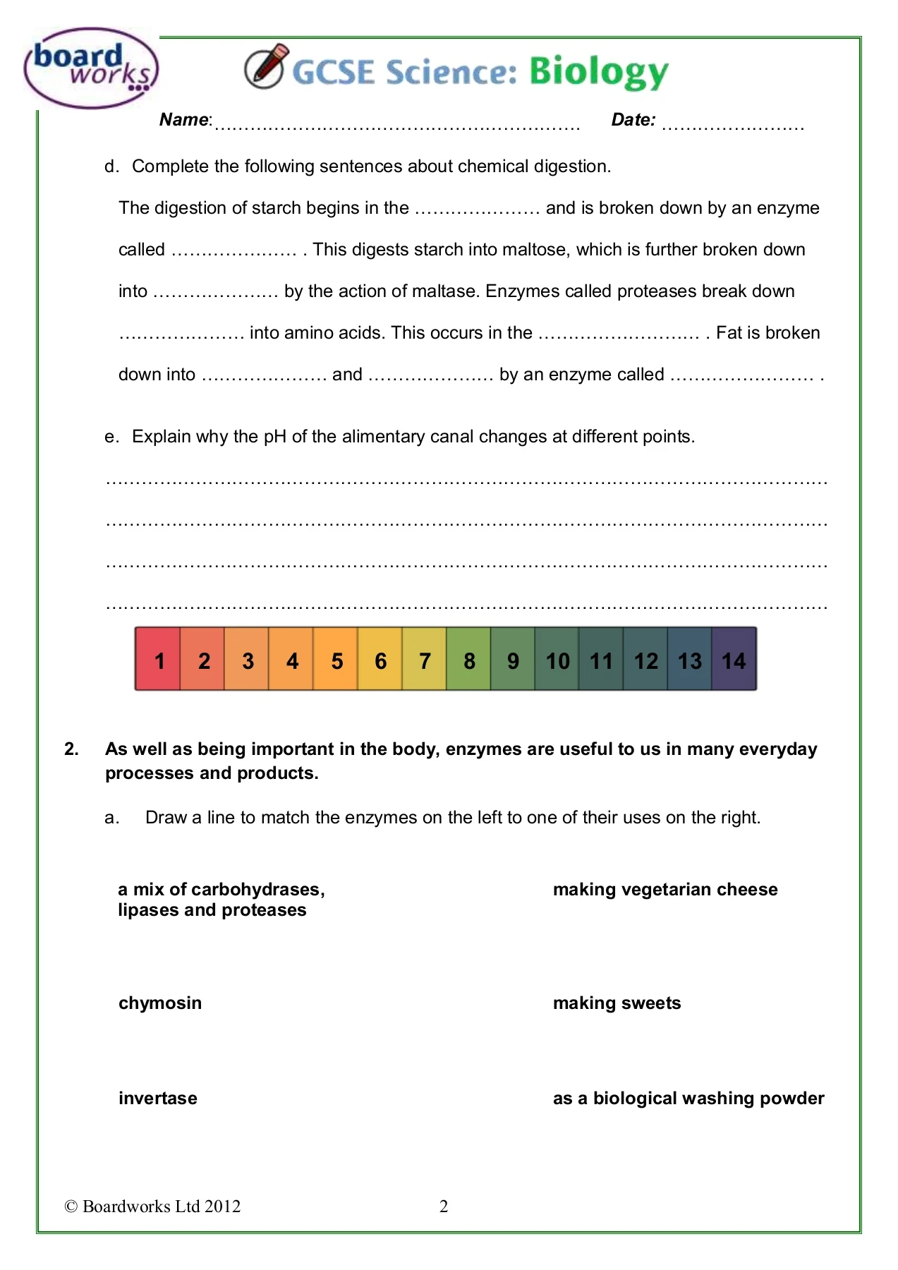Digestion-and-Enzymes-Worksheet