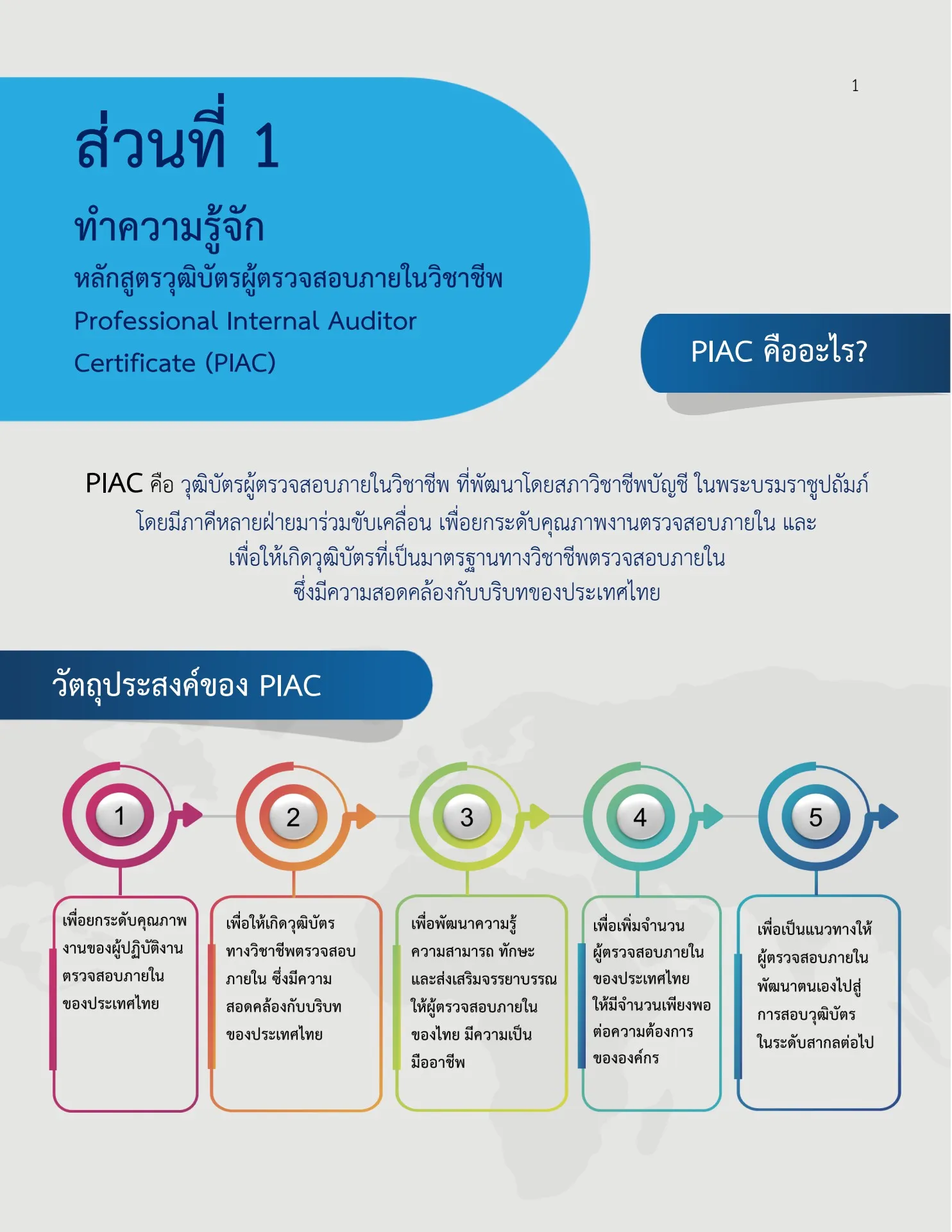 Professional Internal Auditor Certificate PIAC