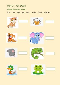 Unit 3 Pet show 1 - azniza5188 Flip PDF | AnyFlip