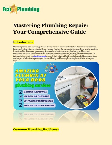 Mastering Plumbing Repair Your Comprehensive Guide.pdf - Eco 1 Plumbing ...