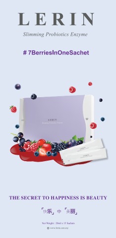 LERIN brochure
