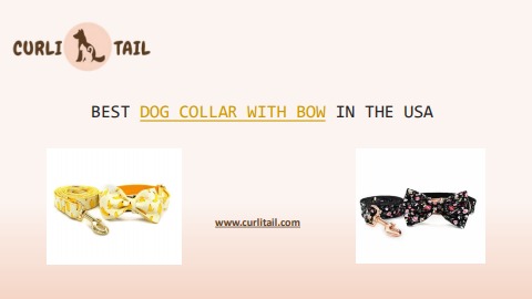 Design Your Own Custom Dog Collar - Get the Perfect Fit!