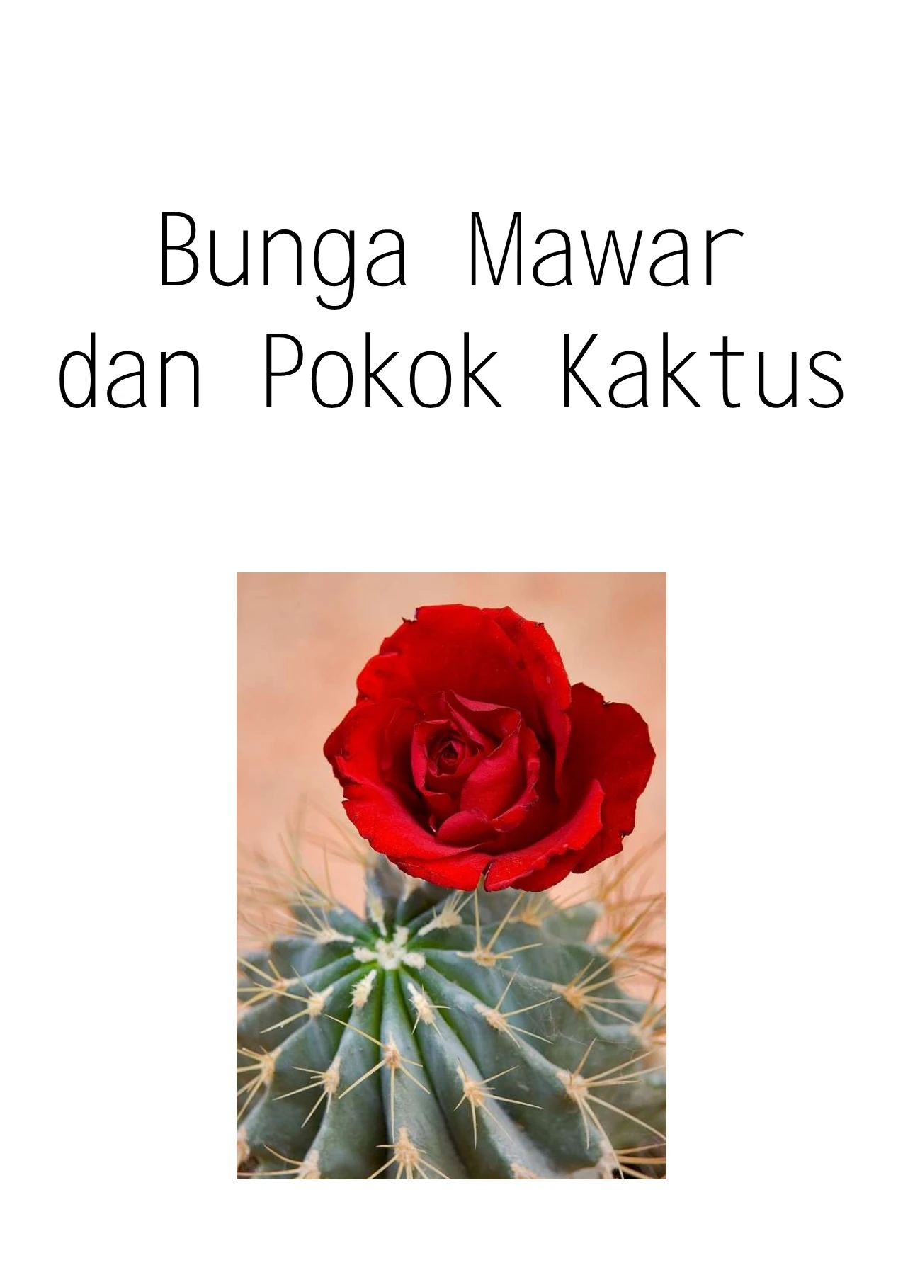 POKOK BUNGA MAWAR DAN KAKTUS