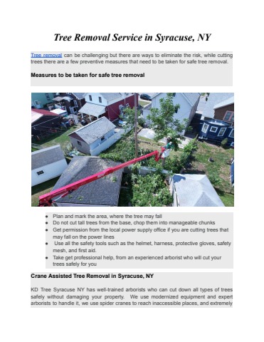 Tree Removal Service in Syracuse, NY - KD Tree Syracuse NY Flip PDF ...
