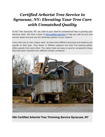 Certified Arborist Tree Service in Syracuse, NY_ Elevating Your Tree ...
