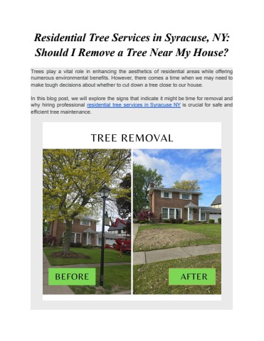 Residential Tree Services in Syracuse, NY_ Should I Remove a Tree Near ...