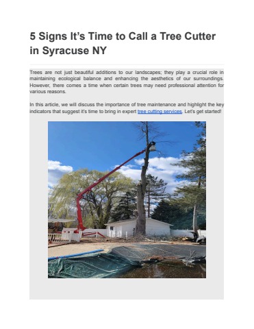 5 Signs It’s Time to Call a Tree Cutter in Syracuse NY - KD Tree ...