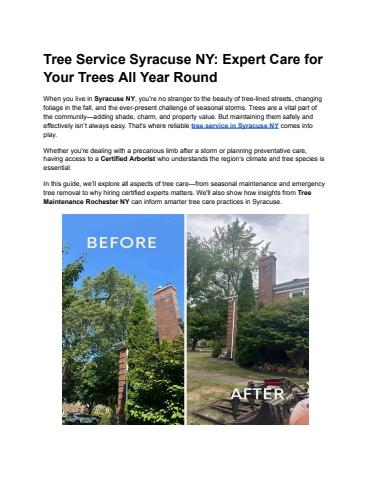Tree Service Syracuse NY_ Expert Care for Your Trees All Year Round