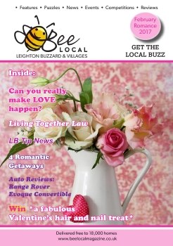 Bee Local February 2017 edition online - Bee Local Magazine Flip PDF ...