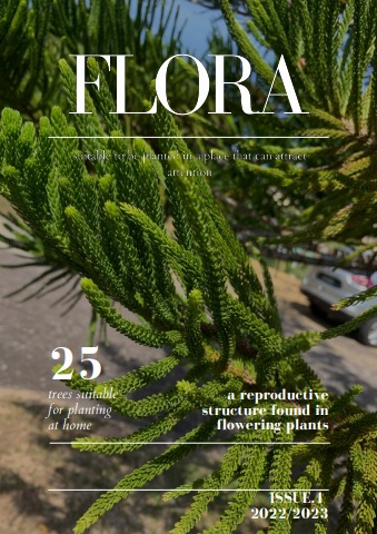 NIK MAGAZINE - Nik Ahmad Faris Ikhwan Flip PDF | AnyFlip