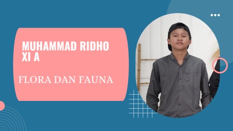 Flora dan fauna - muhammad Ridho Flip PDF | AnyFlip
