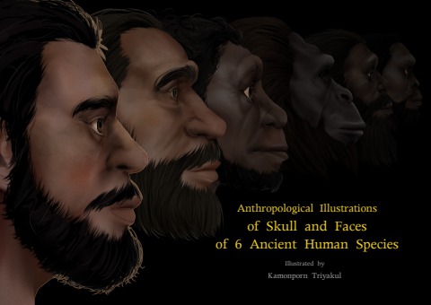 illustrations of skull&facial of 6 ancient human species
