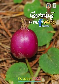 E-Book ตุลาคม 2565 - สำนักวิจัยการอนุรักษ์ป่าไม้และพันธุ์พืช Flip PDF | AnyFlip