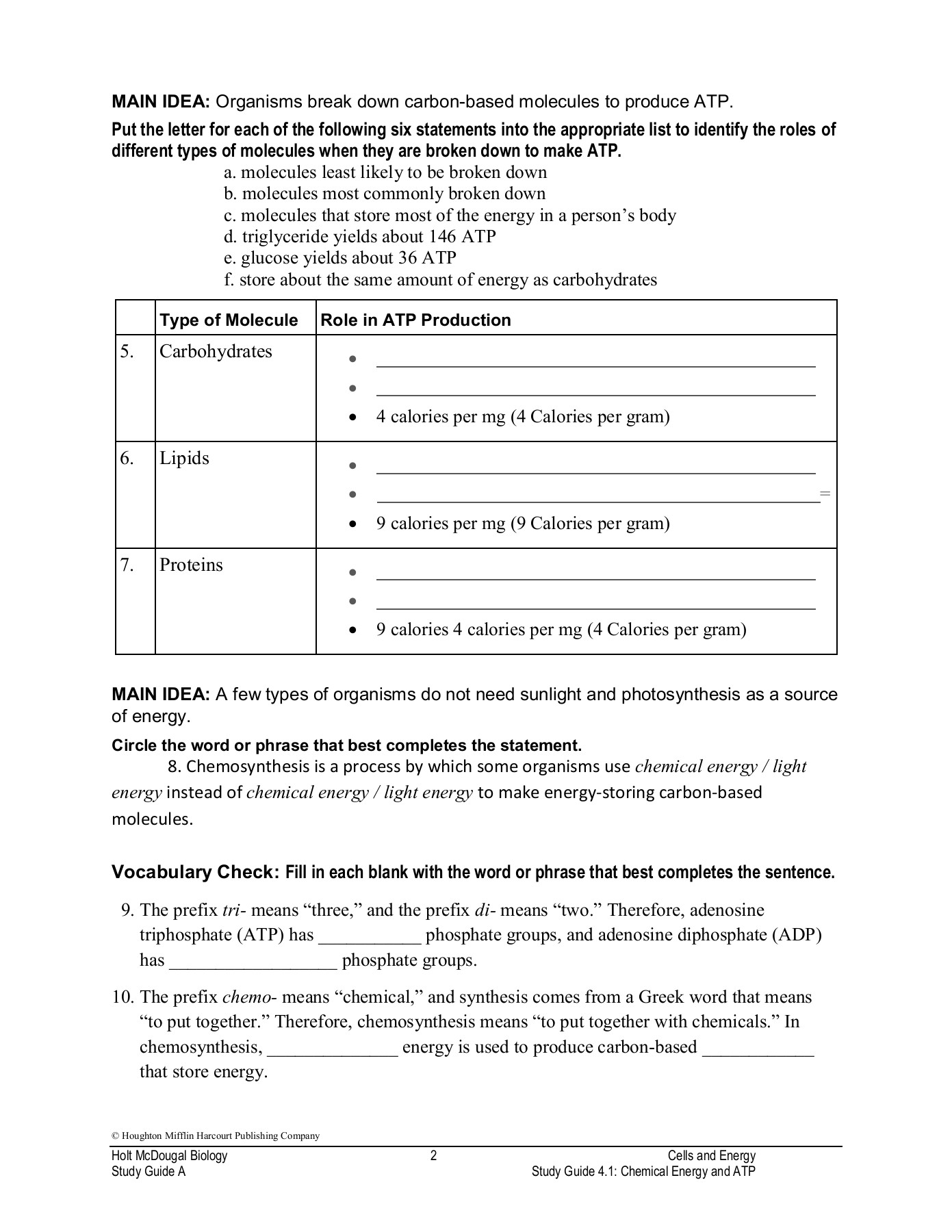 Chemical Energy And Atp Worksheet Answers