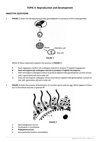 CHAPTER 9: REPRODUCTION & DEVELOPMENT - rosnanicheahmad76 Flip PDF ...