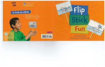 Flip, Stick, Fun Level G - Claudia Romero Flip PDF | AnyFlip
