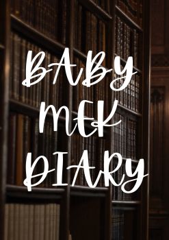 Baby Mek Diary - kim0046312117 Flip PDF | AnyFlip