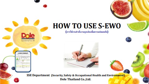 How to use SEWO Safety Emergency Work Orders