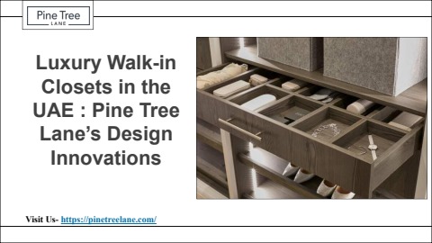 Luxury Walk-in Closets in the UAE Pine Tree Lane’s Design Innovations