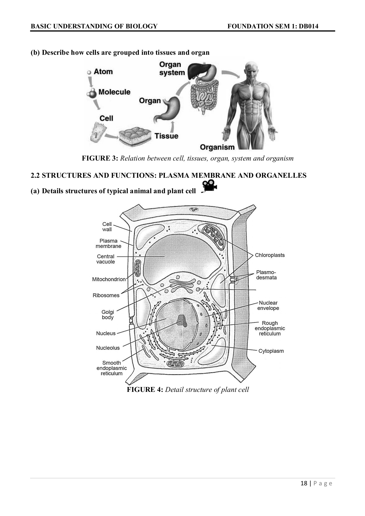 Chapter 2 Cell Structure And Cell Organisation Anjung Chapter 2 : Cell