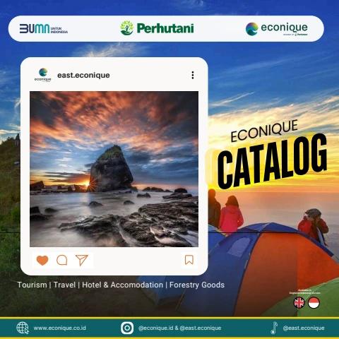 Econique Compro & Catalog