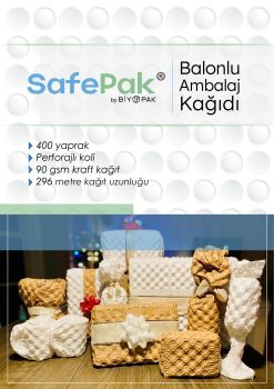 Safe_Pak - metanoyadesigns Flip PDF | AnyFlip