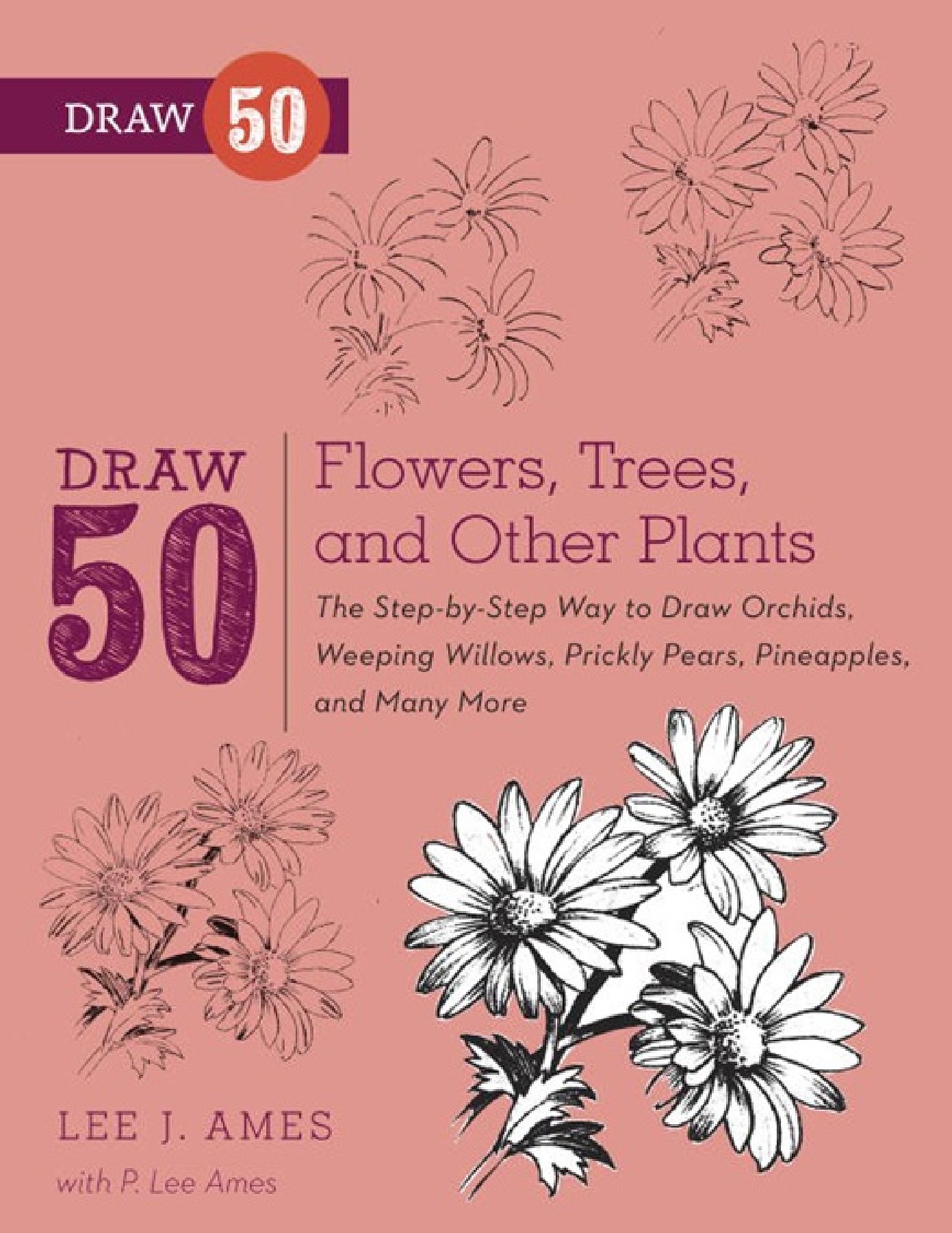 Drawing Flowers Step By Pdf | Best Flower Site