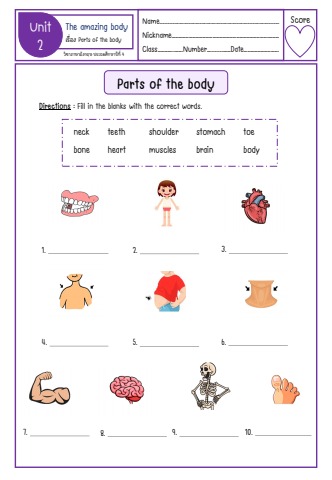 ใบงาน parts of the body