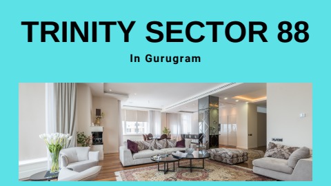 Trinity Sector 88 Gurgaon | 2 BHK and 3 BHK Apartments - avengerup43 ...