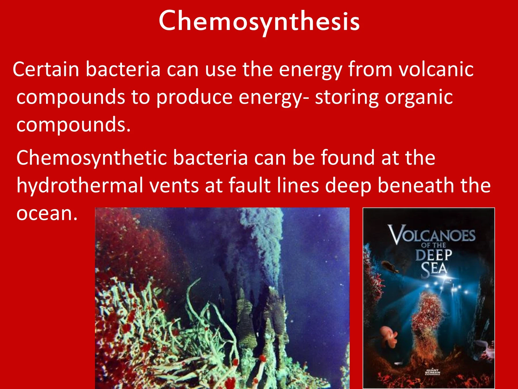 Bacterial Photosynthesis And Chemosynthesis