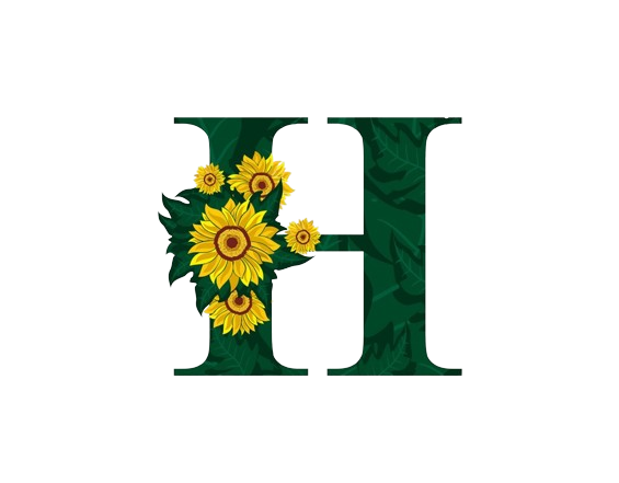 PORTFOLIO PPGB 2024 - Flip eBook Pages 1-13 | AnyFlip