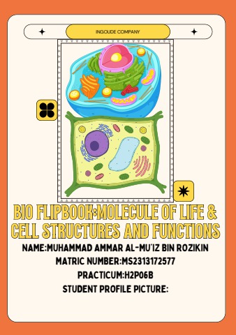 BIO FLIPBOOKMOLECULE OF LIFE & CELL STRUCTURES AND FUNCTIONS
