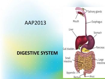 Digestive System AAP2013 - qaseh2me Flip PDF | AnyFlip